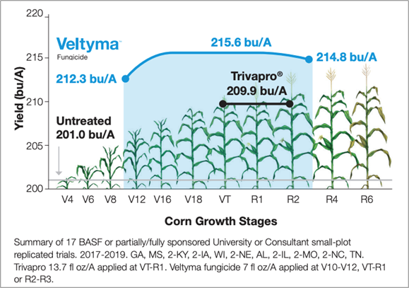 Get Ahead of Emerging Corn Diseases — BASF